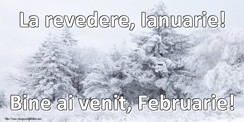 Felicitari de 1 Februarie - Pagina 4 - mesajeurarifelicitari.com